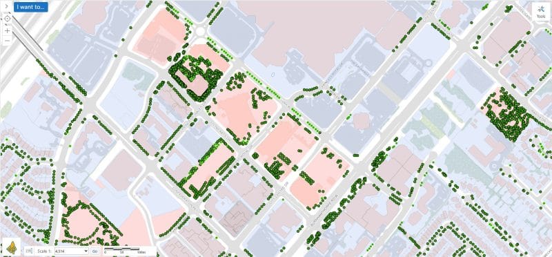 Check Trees on Your Street | Councillor Joe Horneck